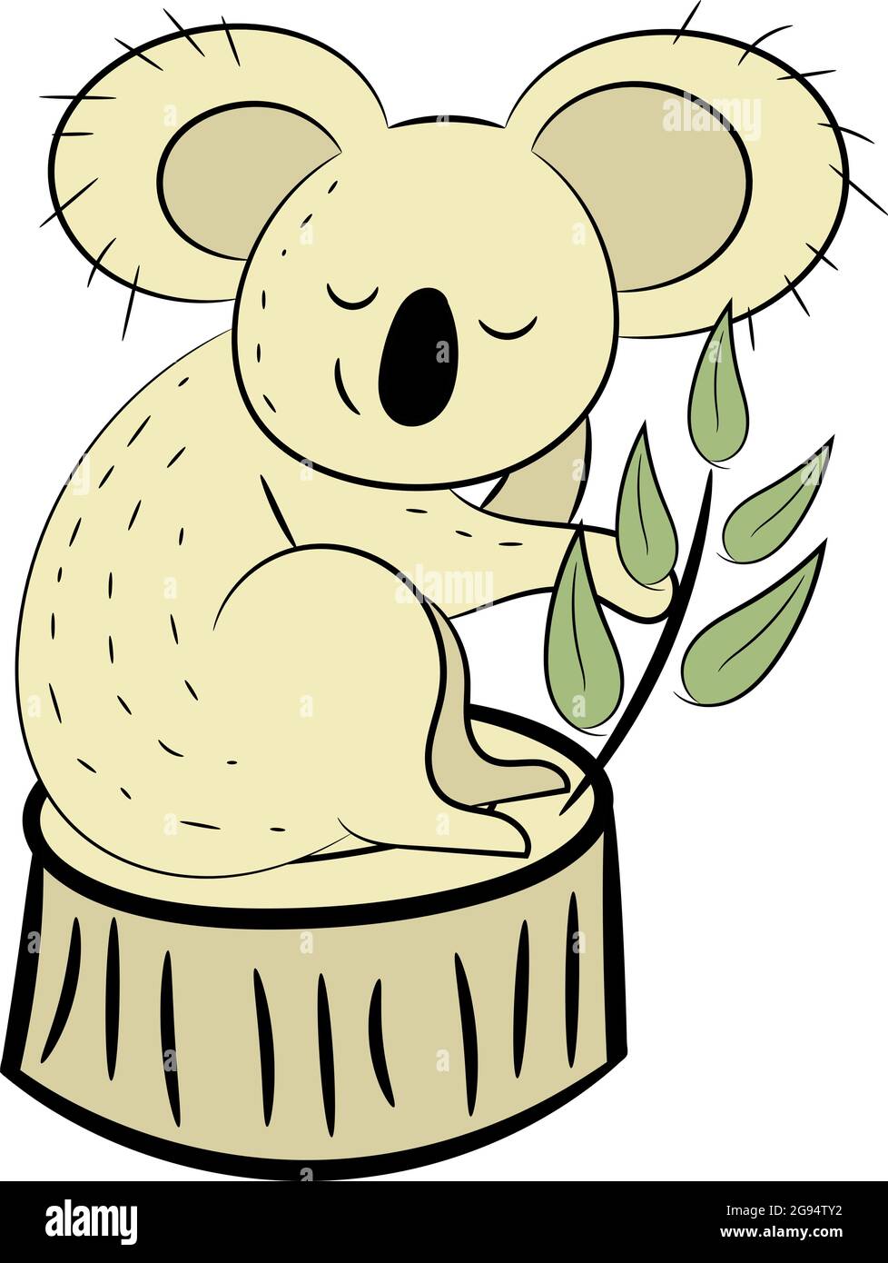 Koala, a hand drawn vector illustration of a cute koala, the koala ...