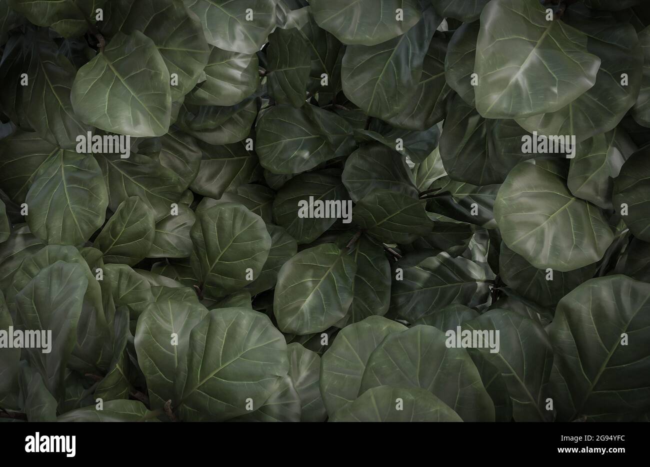 abstract Tropical green leaf texture and background.,3d model and ...