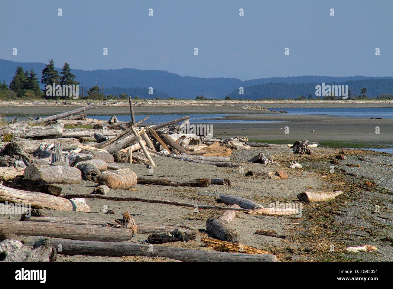 Bleached logs hi-res stock photography and images - Alamy