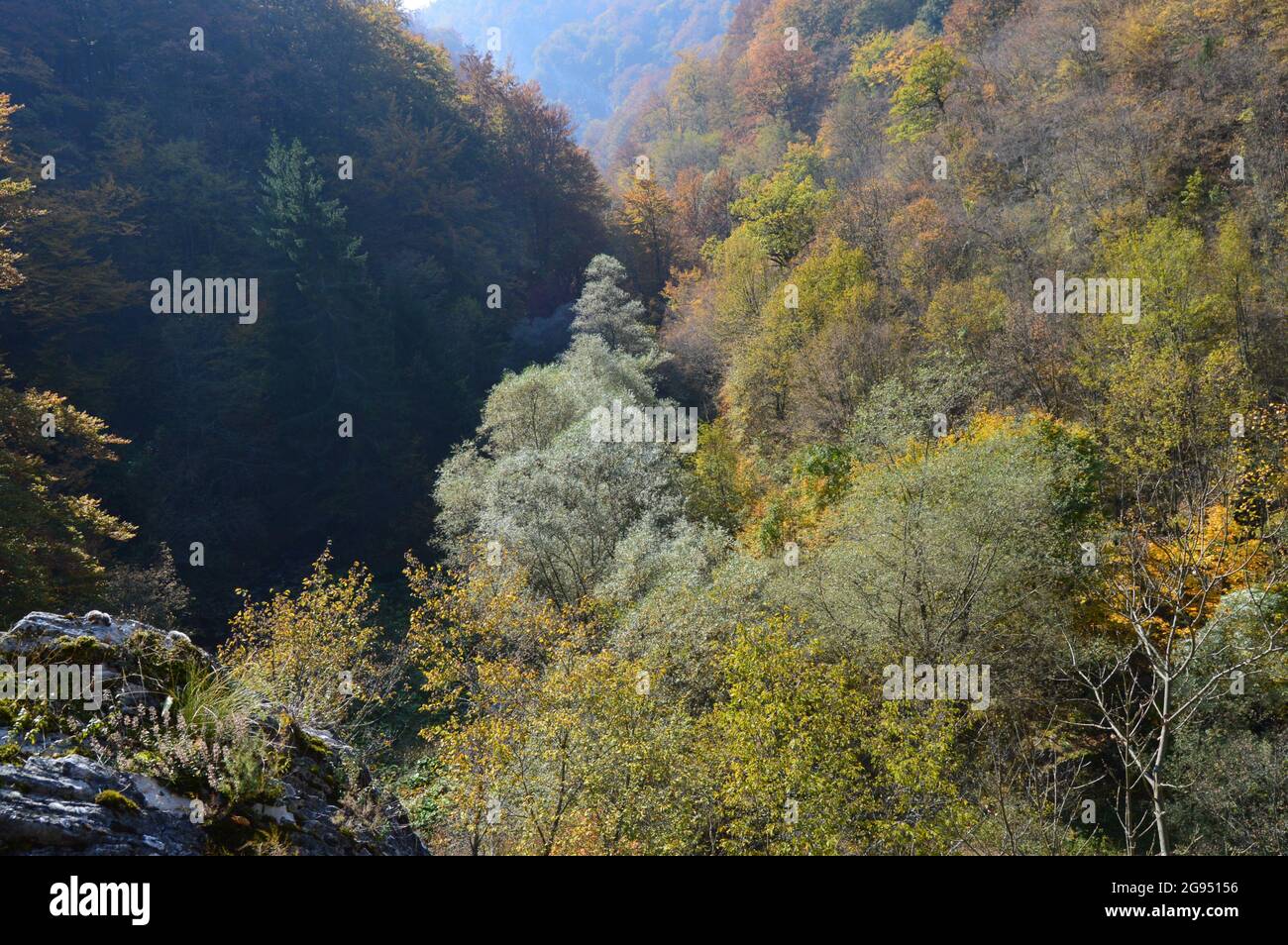Bobovac hi-res stock photography and images - Alamy