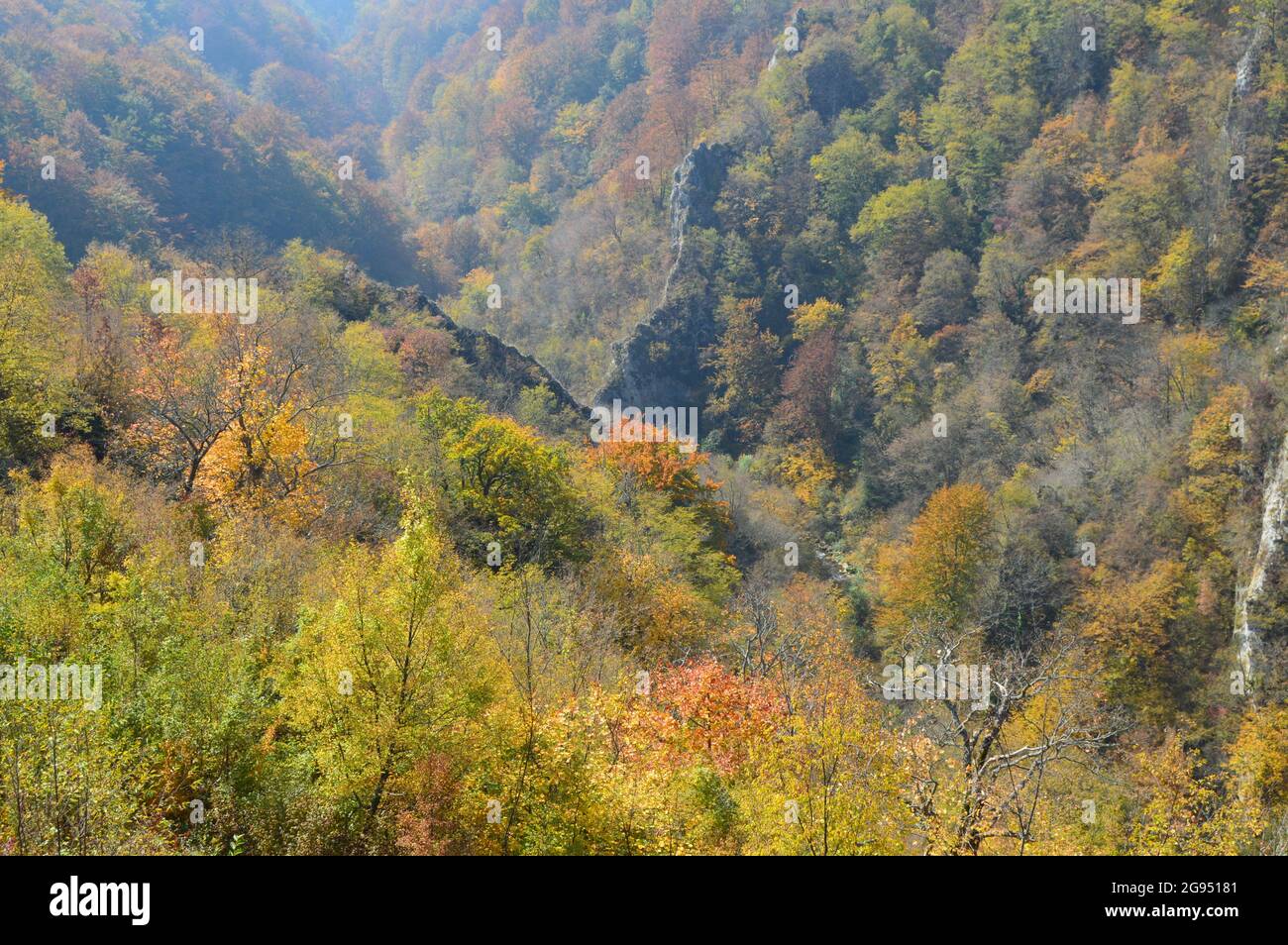 Bobovac hi-res stock photography and images - Alamy