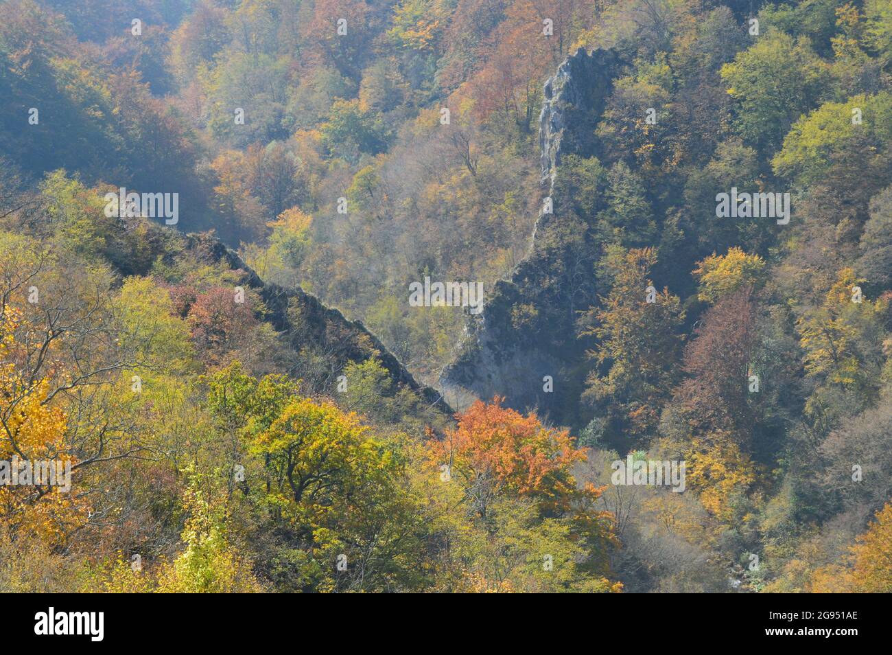 Bobovac hi-res stock photography and images - Alamy