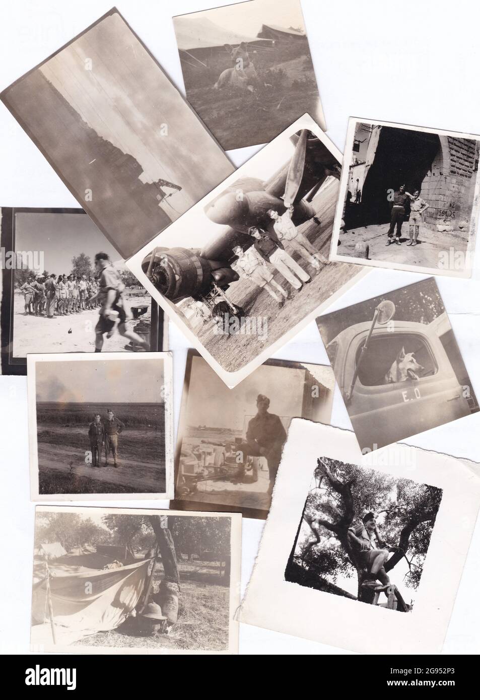 Vintage Photography Collage