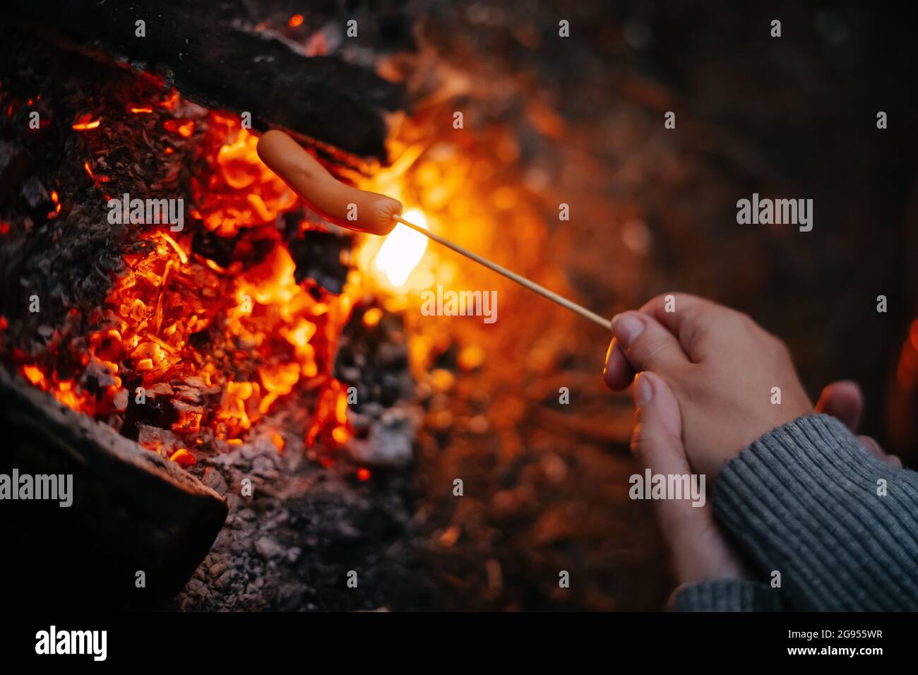 Cooking sausages on a stick in the forest Stock Photo - Alamy