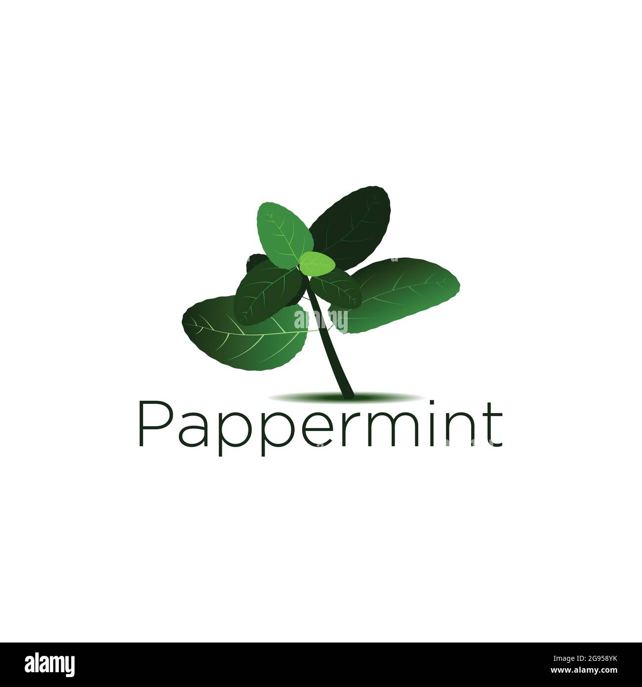 Peppermint Plant and Leaves Logo Vector Illustration. Herbal mint tea ...