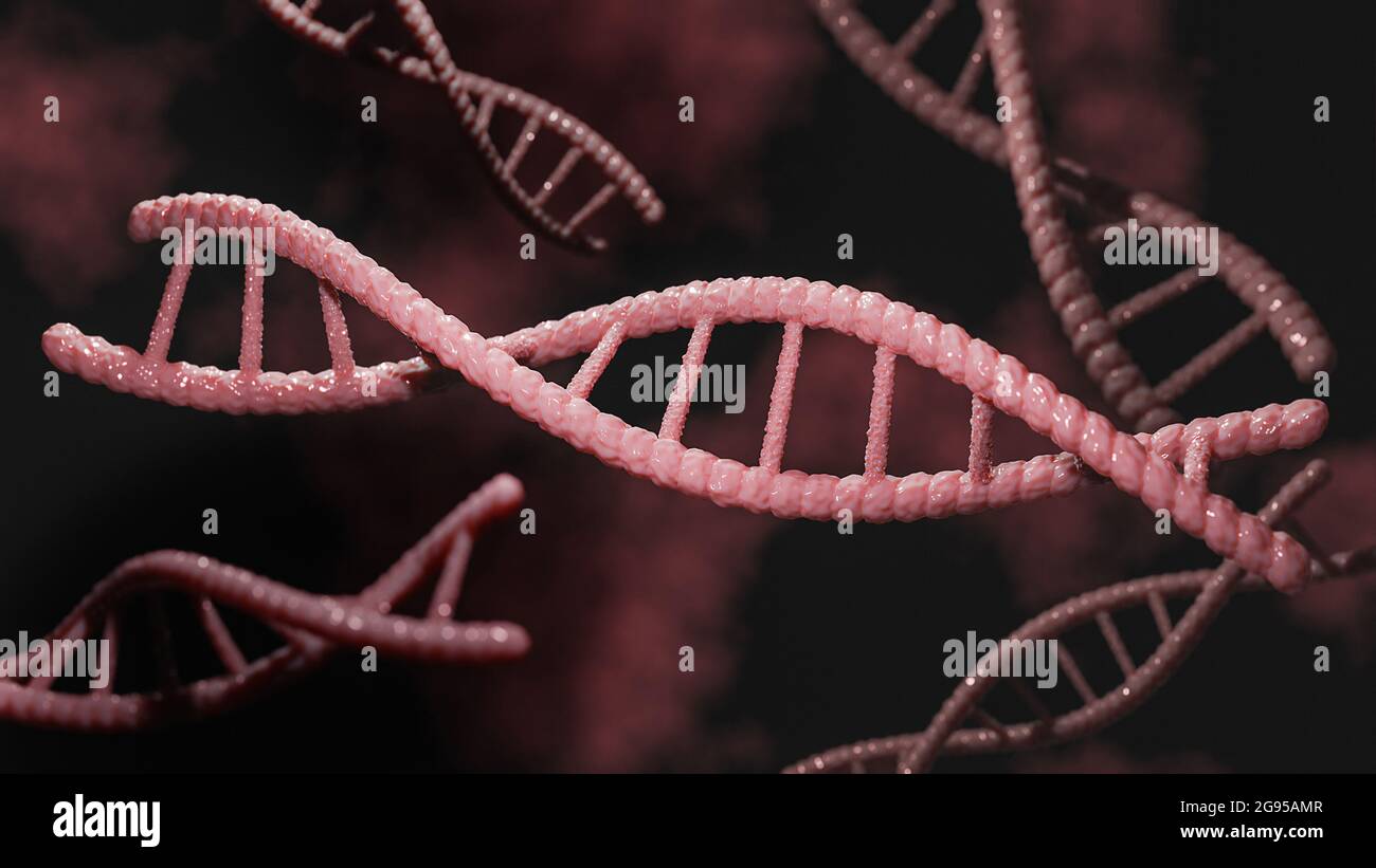 Concept of biochemistry with dna molecule.,3d model and illustration ...