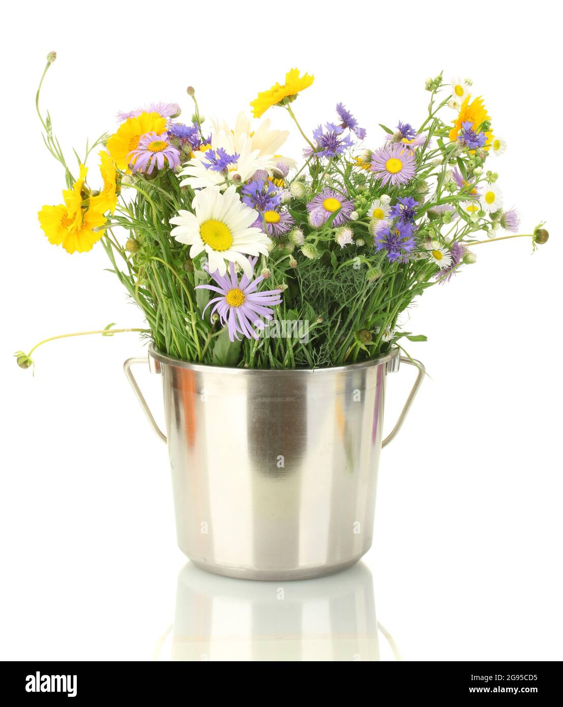 beautiful bouquet of bright wildflowers in bucket, isolated on white ...