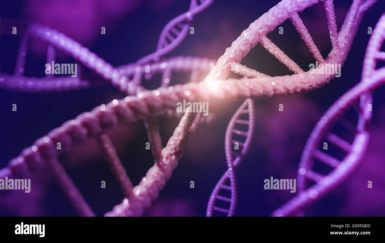 Concept of biochemistry with dna molecule.,3d model and illustration ...