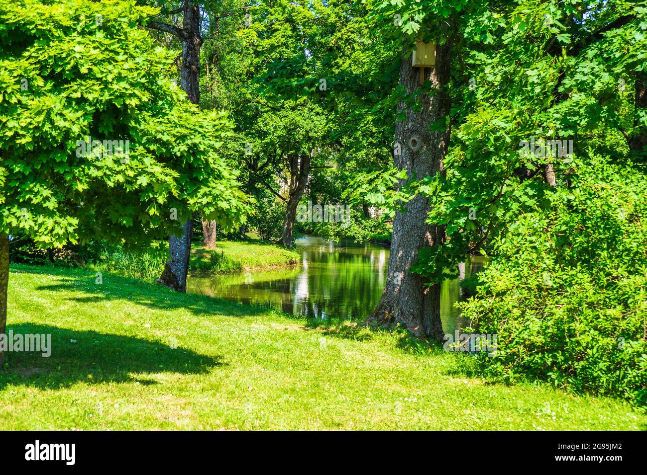 Green trees by pond hi-res stock photography and images - Alamy
