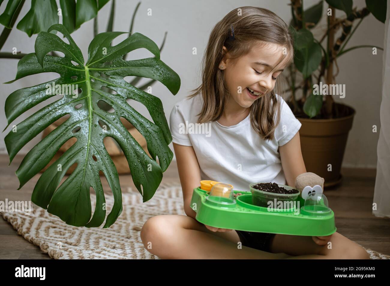 A little girl with a baby kit for growing a plant on her own Stock ...