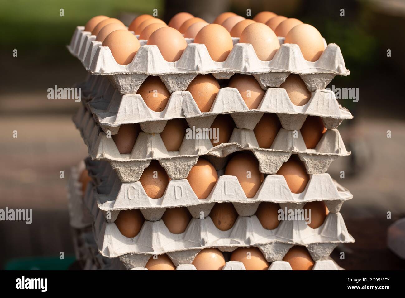 Egg pallets hi-res stock photography and images - Alamy