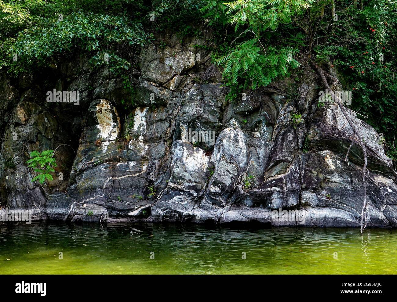 Broken tree branches fall over a rock face into a stream Stock Photo ...