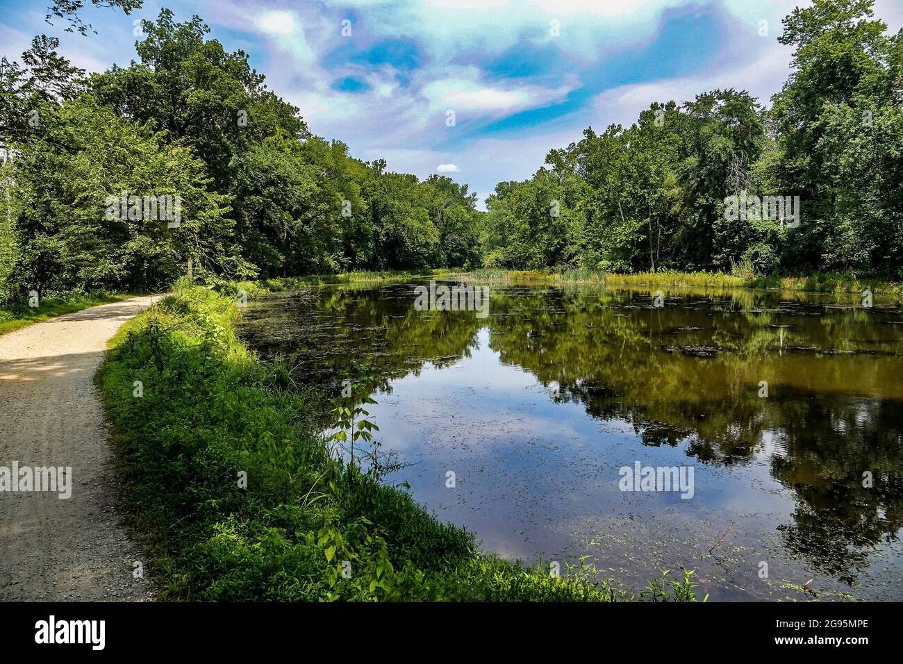 Quiet summer day on the banks of a canal Stock Photo - Alamy