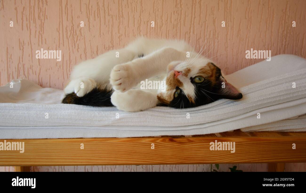 Pink cot hi-res stock photography and images - Alamy