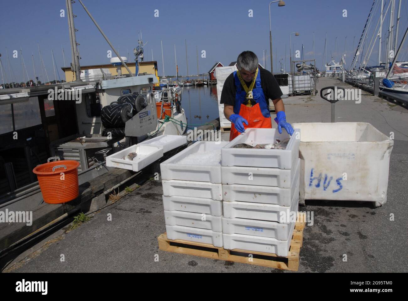 Dragor/Copenhagen/Denmark/ 21 August 2015 Danish fisherman sorting out ...