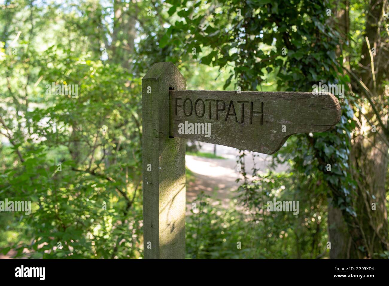 A wooden footpath sign in amongst the overgrown trees marking out a ...