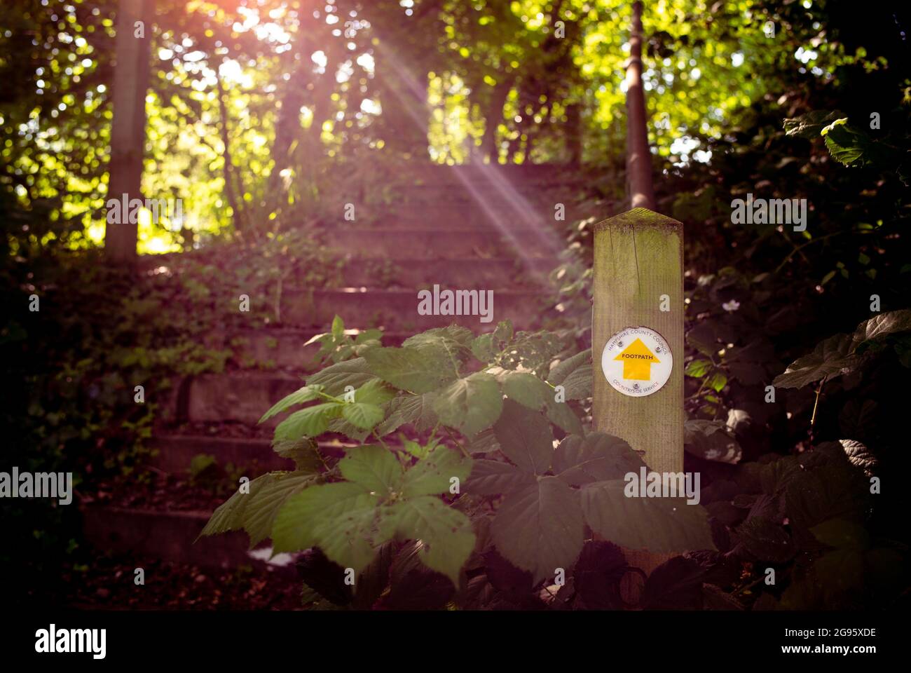 A Hampshire Footpath sign marker post caught in a backlit "Gods light ...
