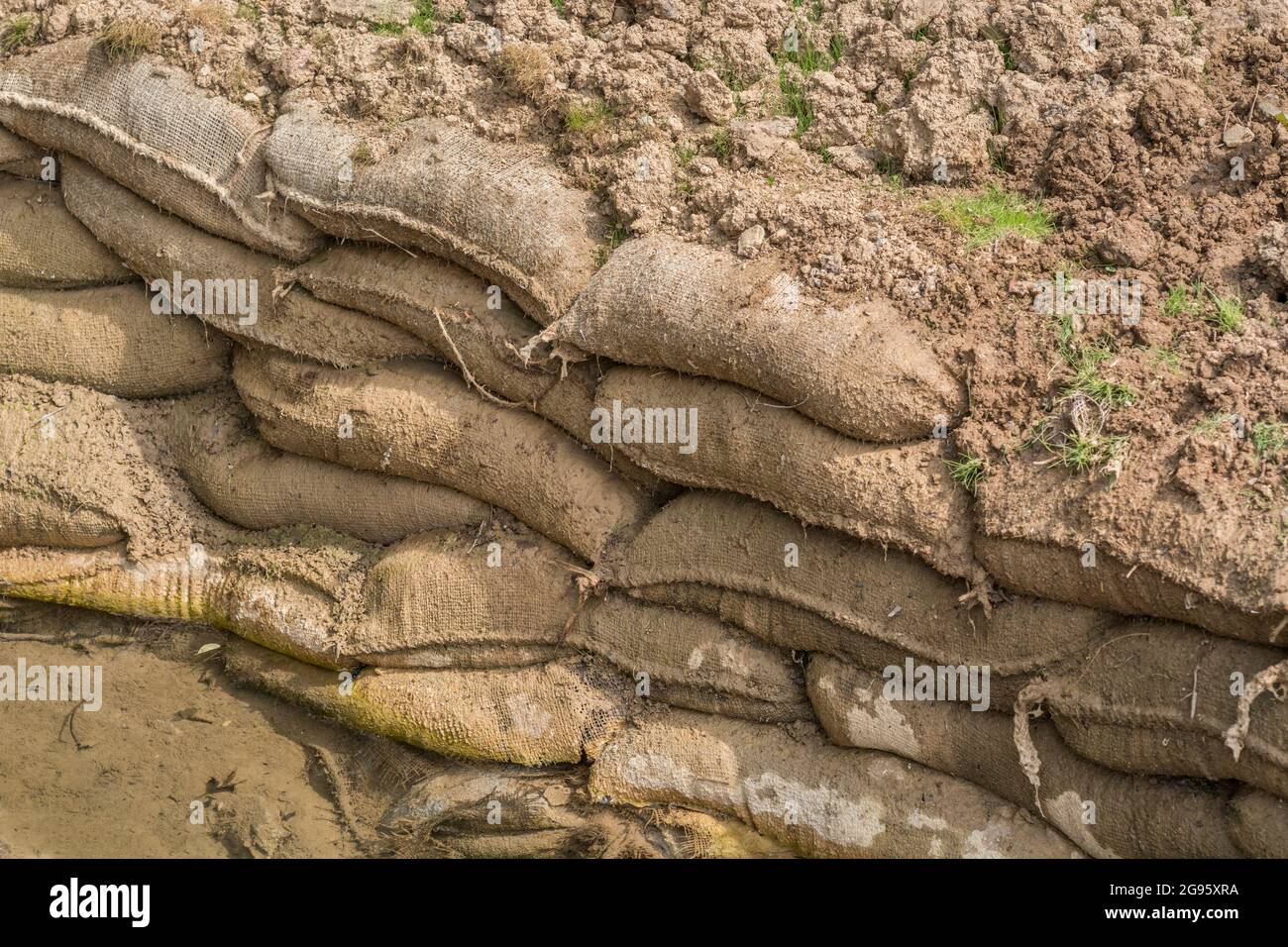 Trench warfare ww1 water hi-res stock photography and images - Alamy
