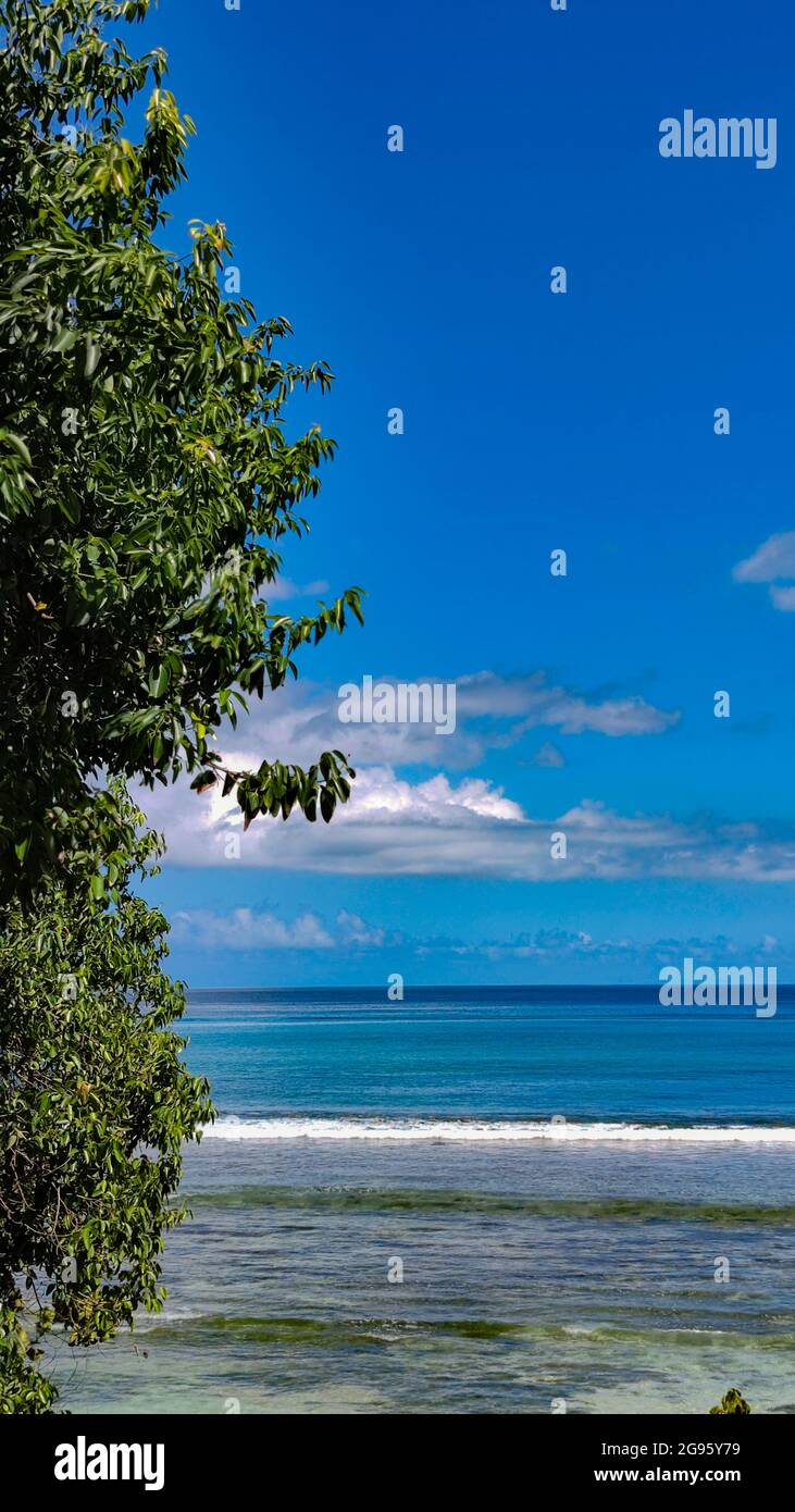 Skyline, clouds and calm ocean, green tree on the left, copyspace Stock ...