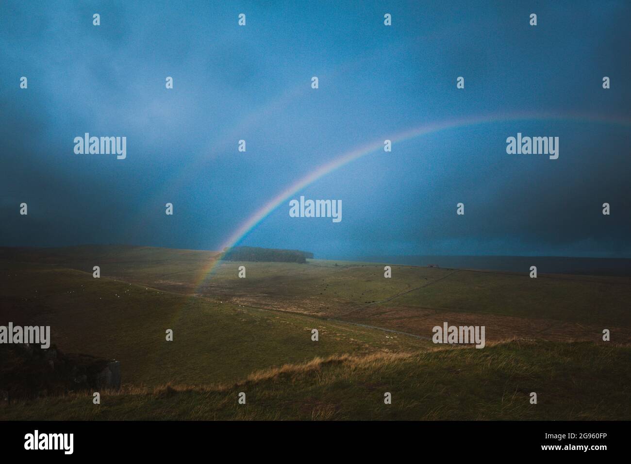 Endless landscape hi-res stock photography and images - Alamy
