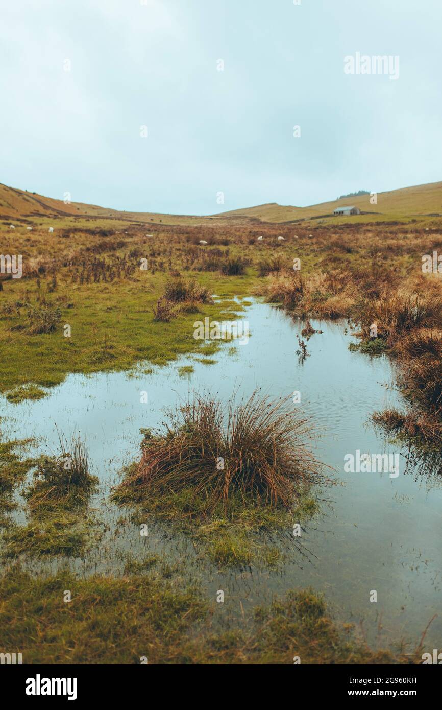 A vast landscape fills the scene while on the path of Hadrian's Wall in ...