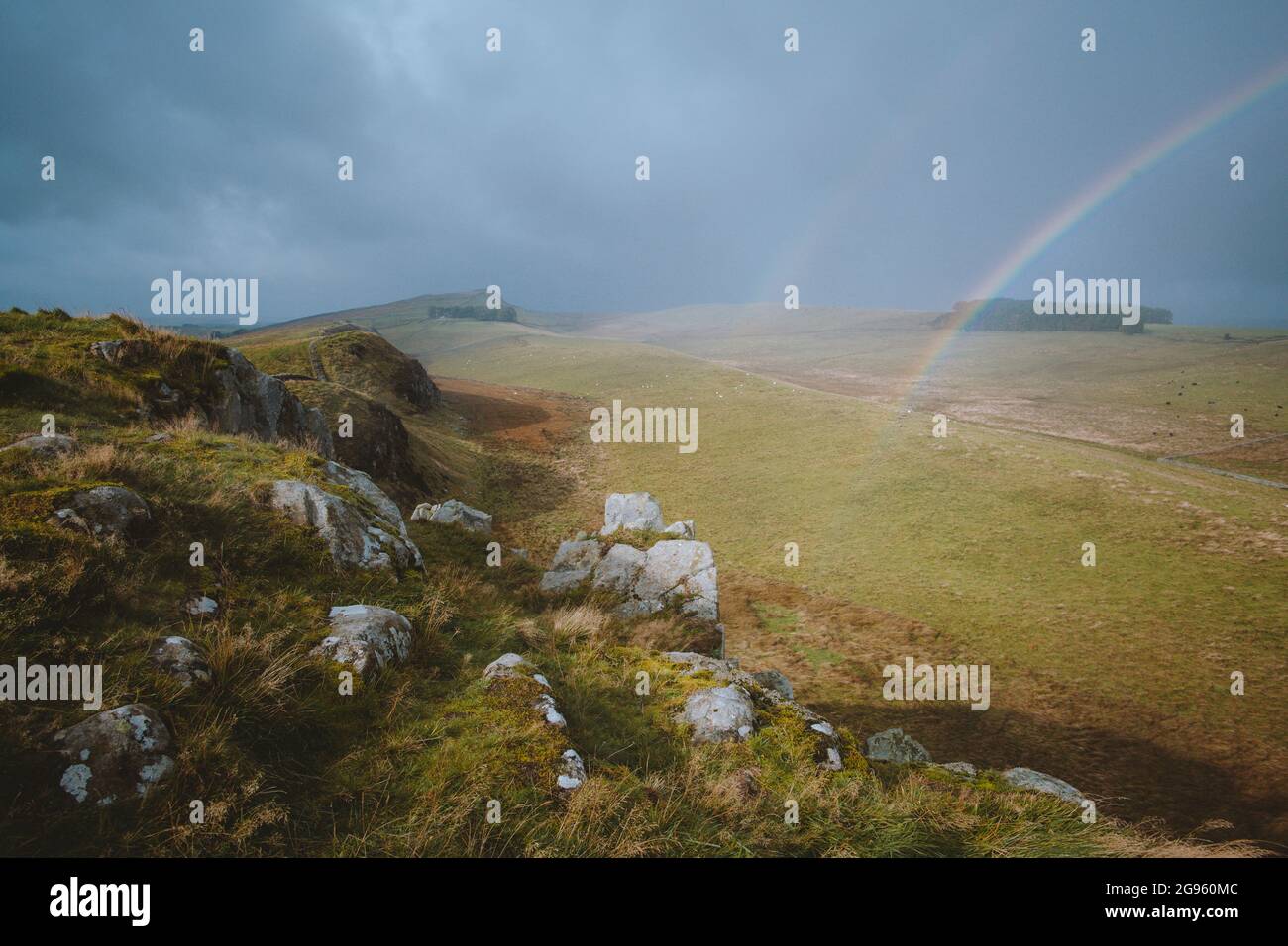Endless landscape hi-res stock photography and images - Alamy