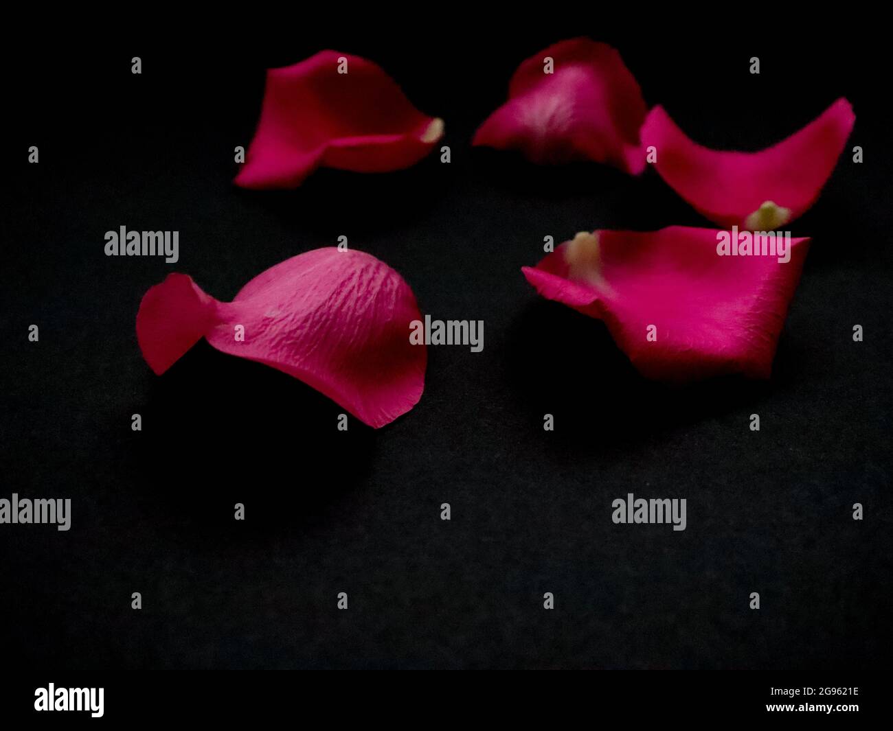 Texas five hi-res stock photography and images - Alamy