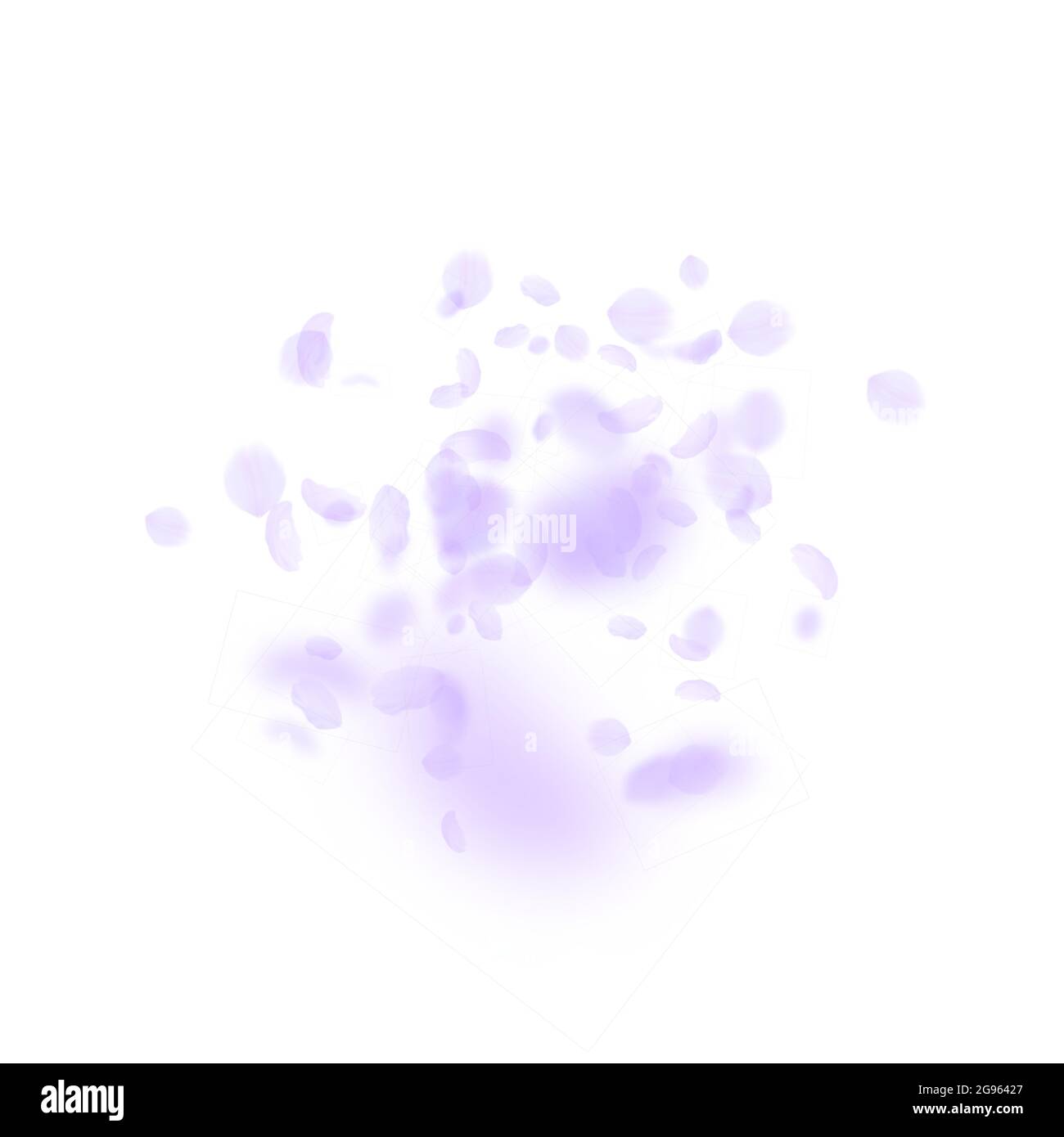 Violet flower petals falling down. Superb romantic flowers explosion ...