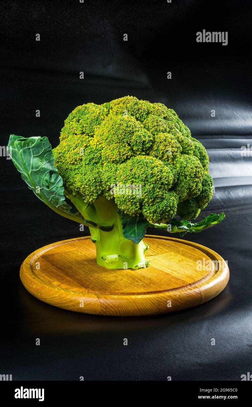 Fantasy mini landscape - tree made with broccoli on a black background ...