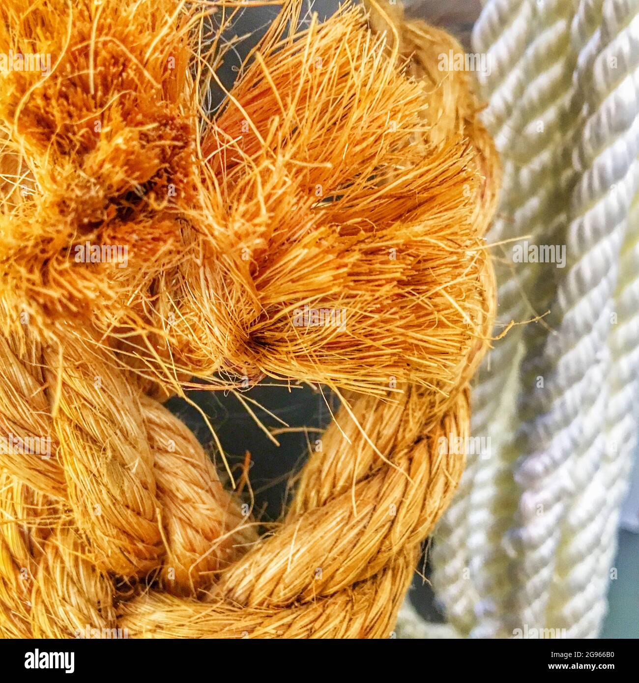 Close up of yellow and white rope. Rough and smooth textures, frayed ...