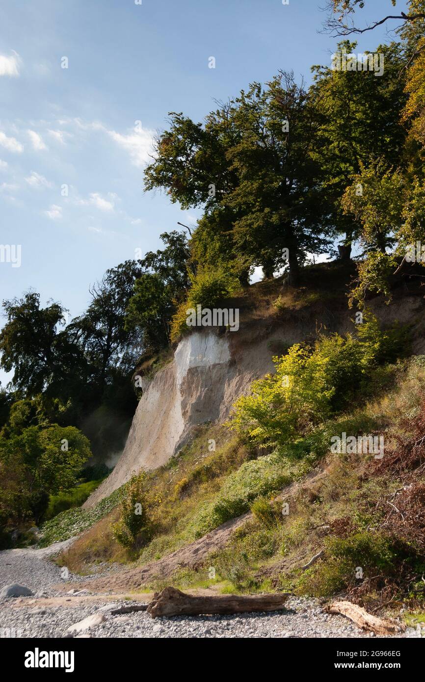 Trees on stone cliff hi-res stock photography and images - Alamy