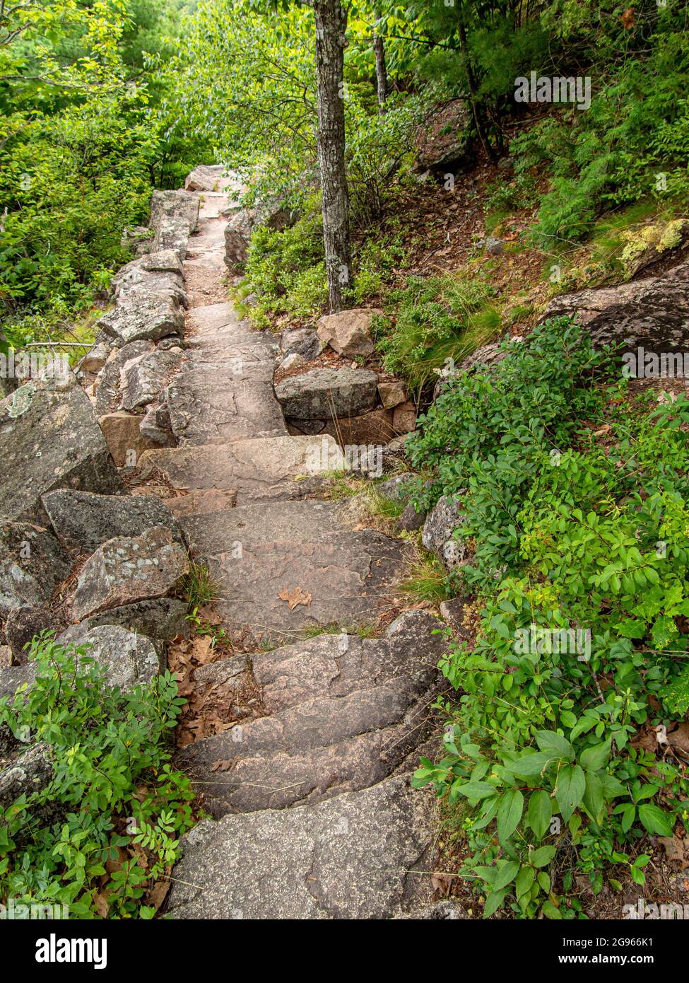 Stone steps in Acadia National Park, Maine Stock Photo - Alamy