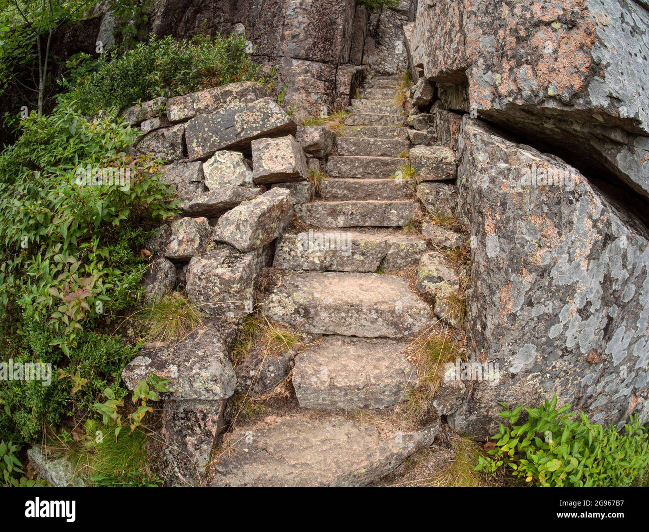 Stone steps in Acadia National Park, Maine Stock Photo - Alamy