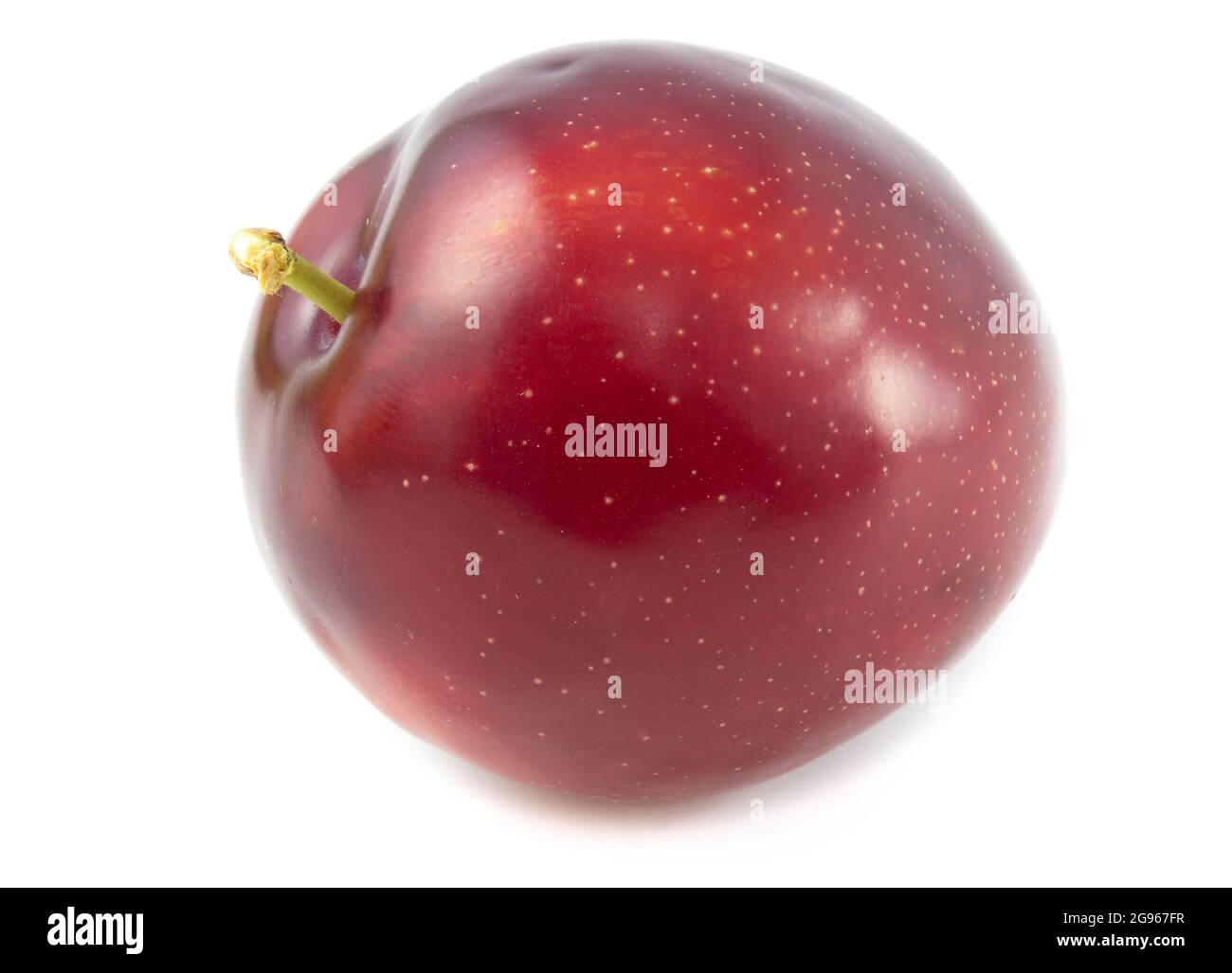 Red plum fruit isolated on white background Stock Photo - Alamy