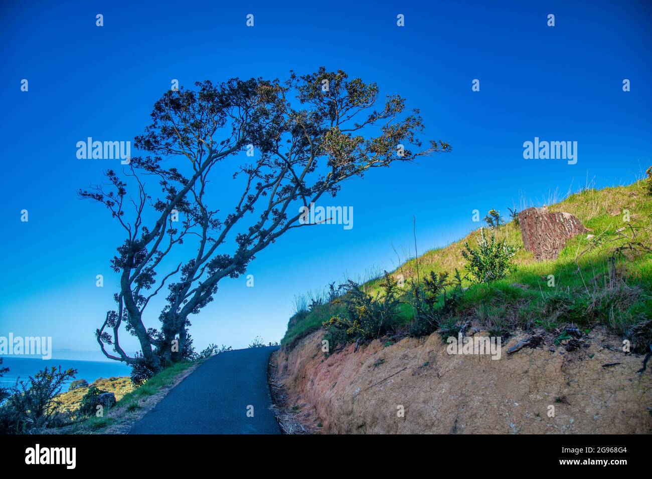 Lonely farm new zealand hi-res stock photography and images - Alamy