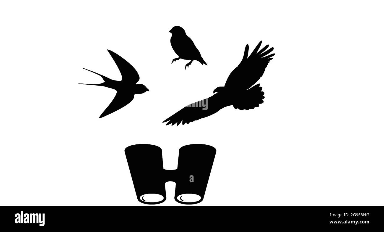 Professional stock art from VectorSpaceStudio Stock Vector Image & Art ...