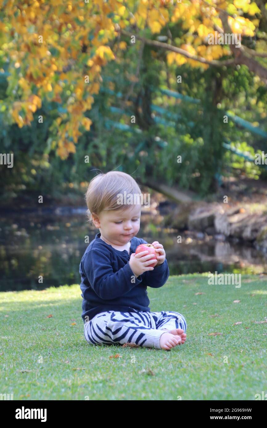 Adorable Australian kid eating an apple on the ground in a park on a ...