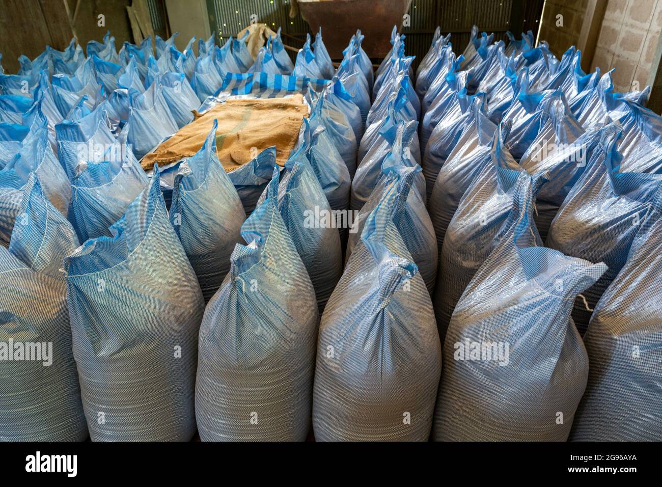 Sacks full of rice in a factory Stock Photo - Alamy