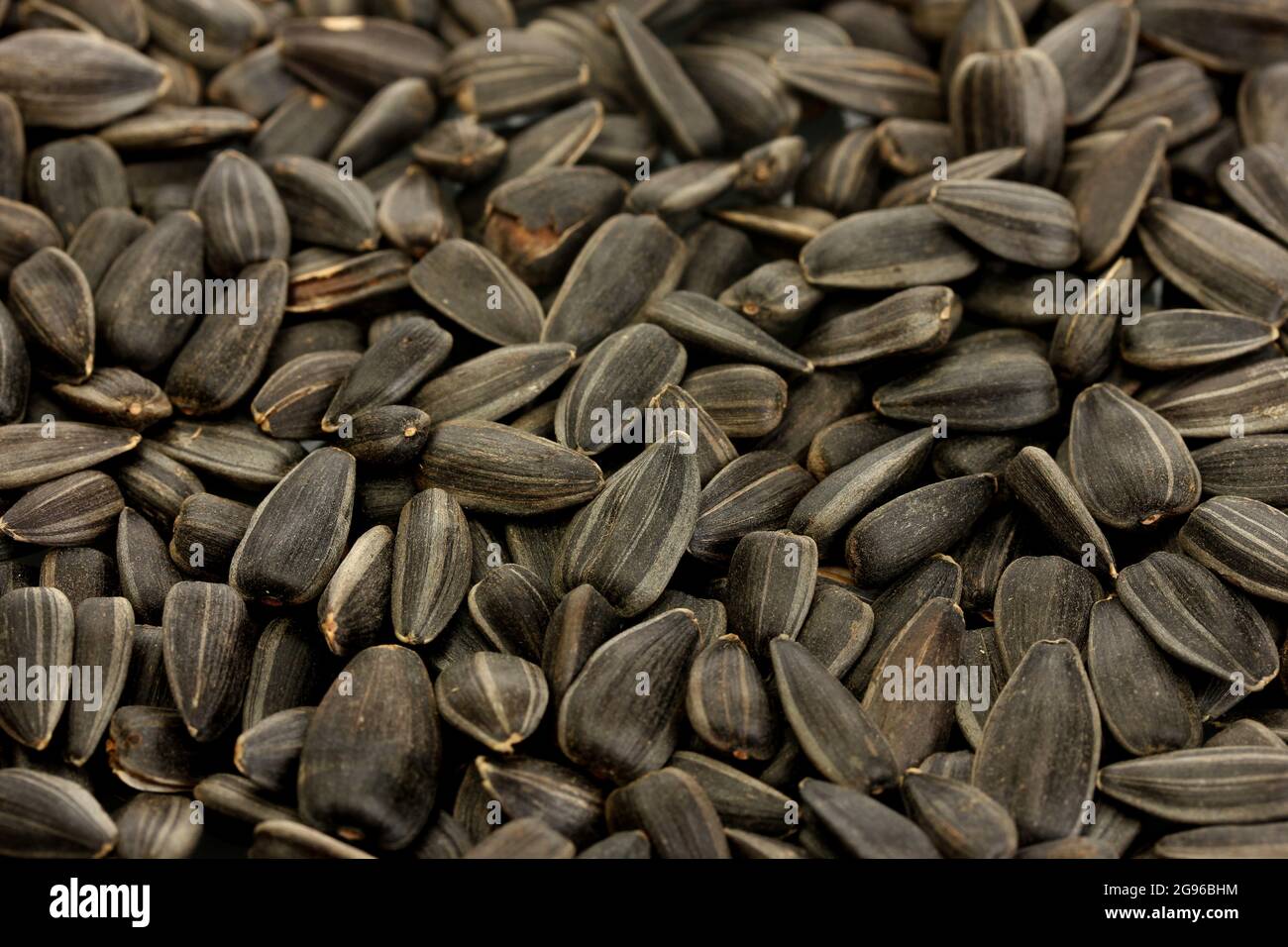 sunflower seeds background Stock Photo - Alamy