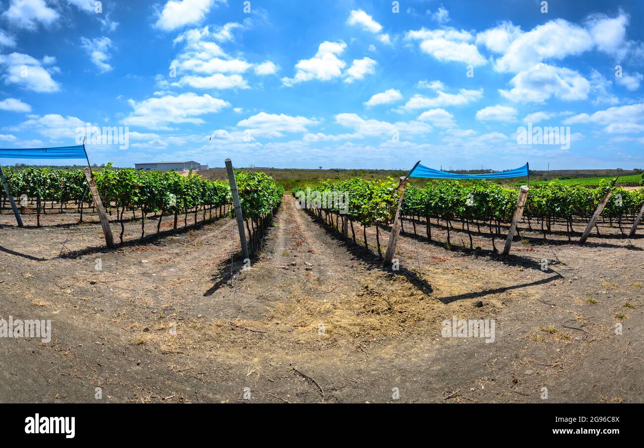 Dos hemisferios hi-res stock photography and images - Alamy