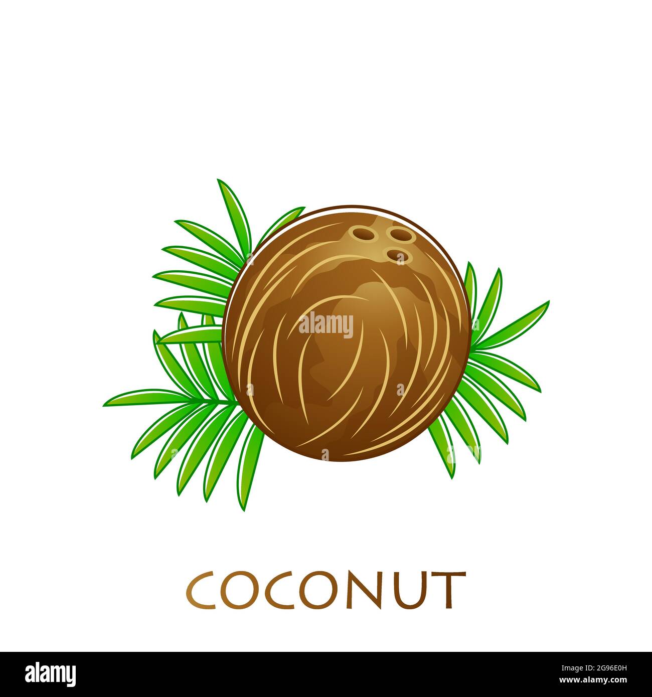 Coconut Fruit Cartoon