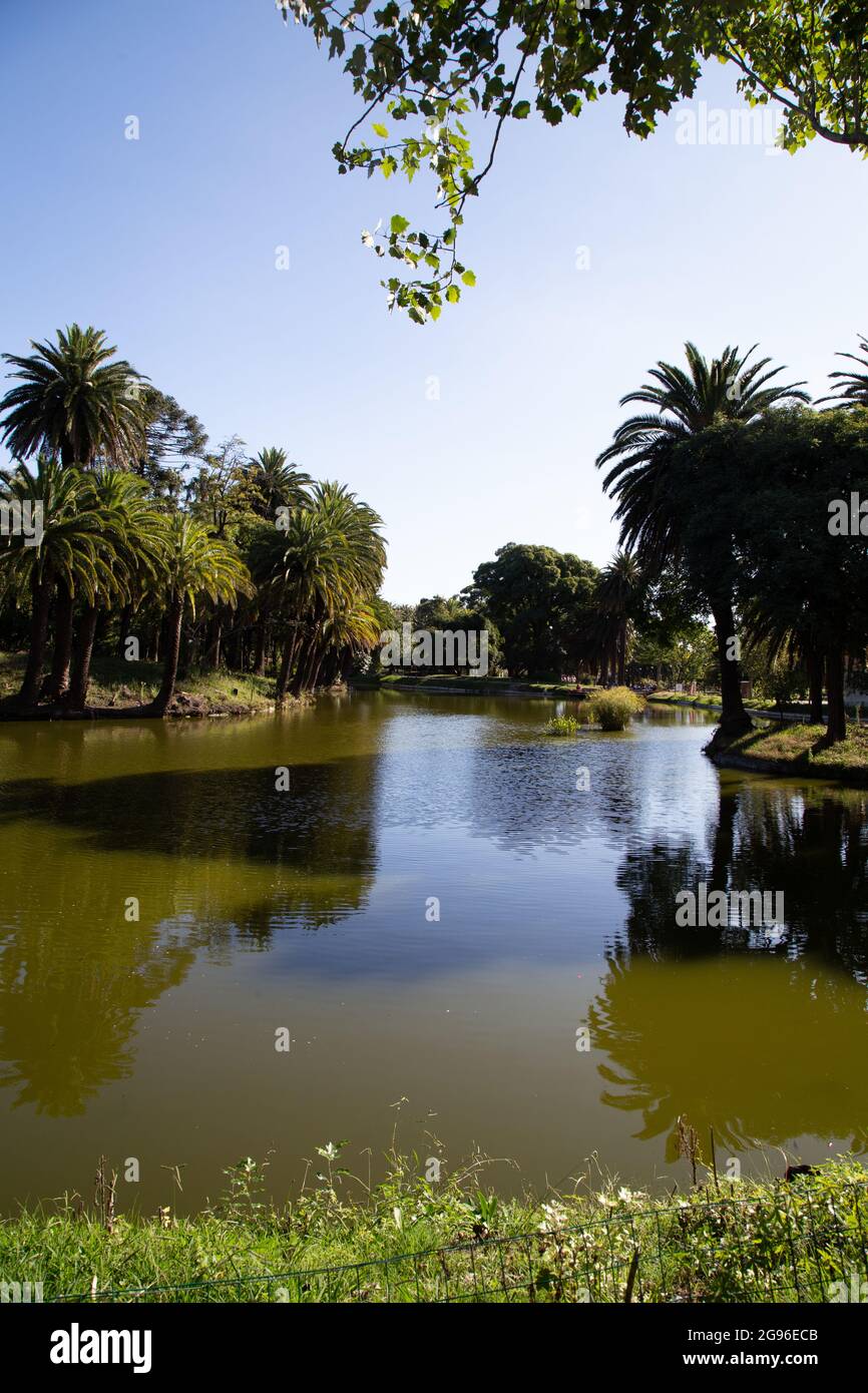 View of the lake from Parque Rodó (Park Rodo Stock Photo - Alamy
