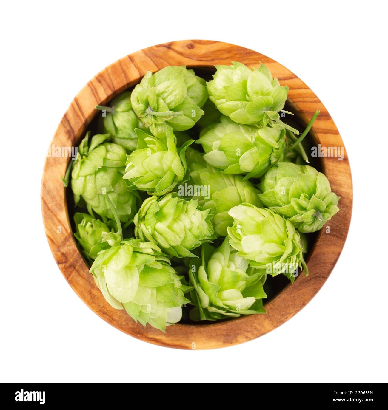 Fresh green hops branch in olive bowl, isolated on a white background ...