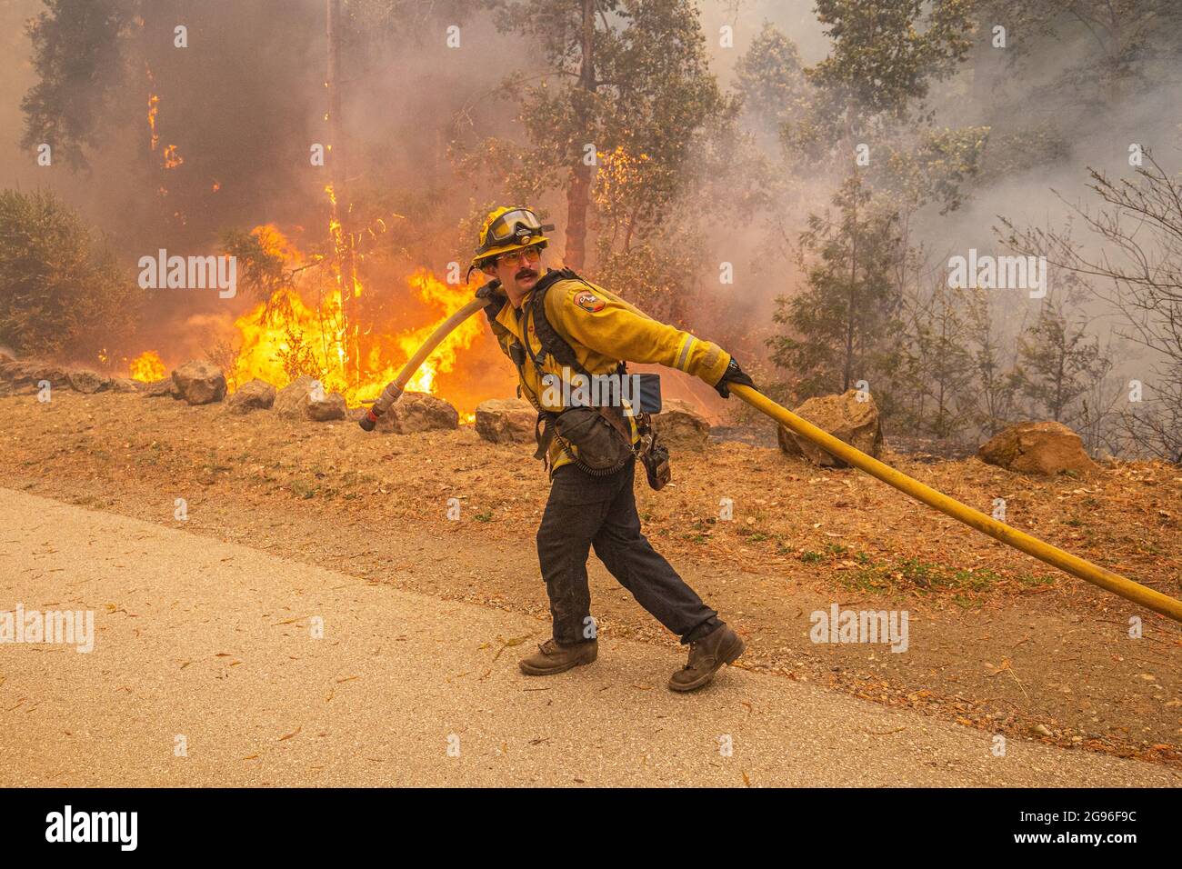 A CalFire Firefighter prepares a hose to defend a home in Boulder Creek ...
