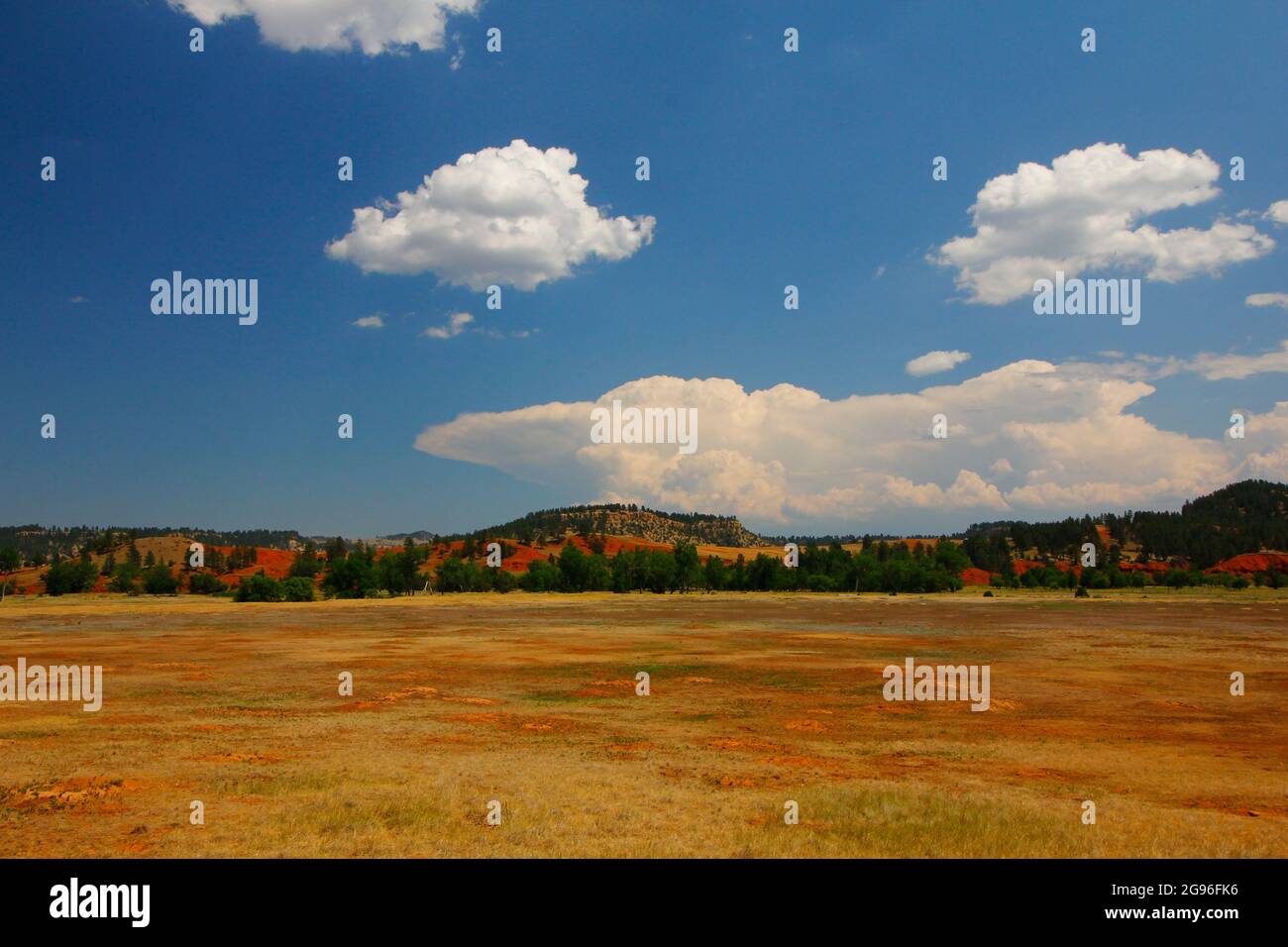 Prairie Dog Town, Devil's Tower National Monument, Wyoming Stock Photo ...
