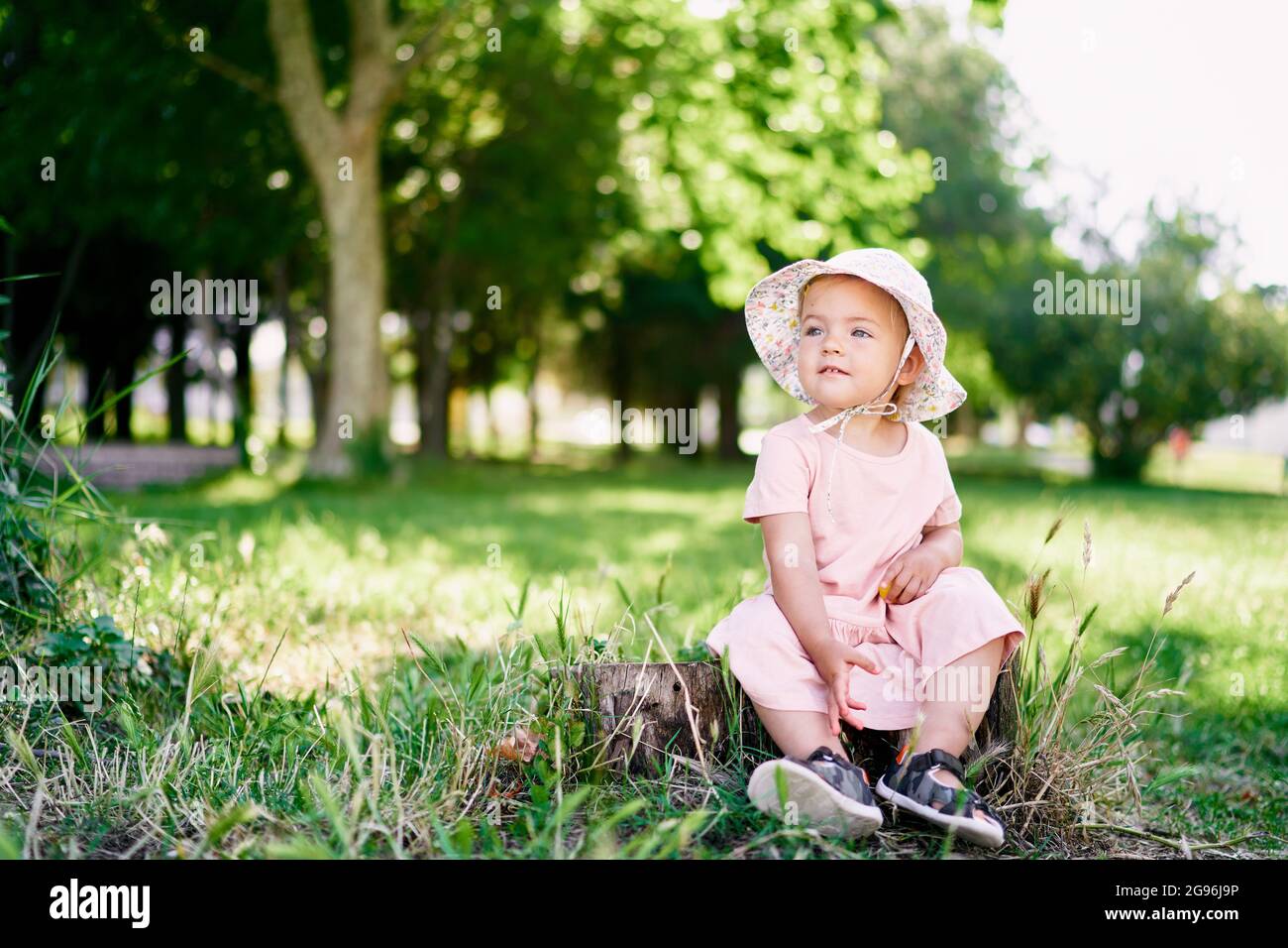 Little girl in a dress and a panama hat sits on a tree stump on a green ...