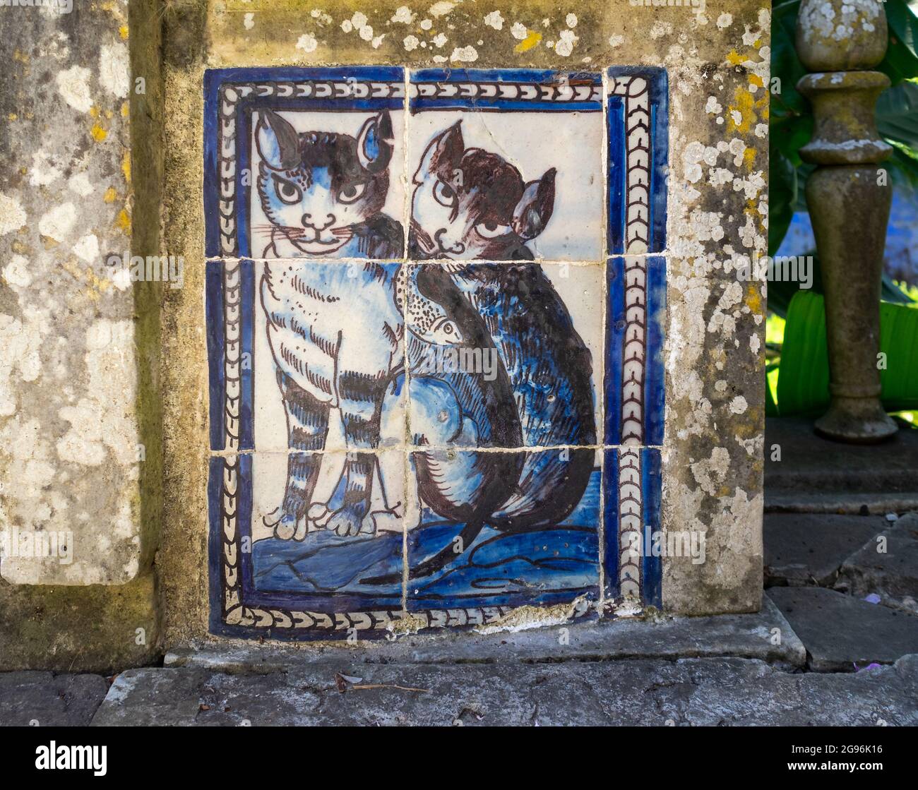 Cats in blue and white tiles Stock Photo - Alamy