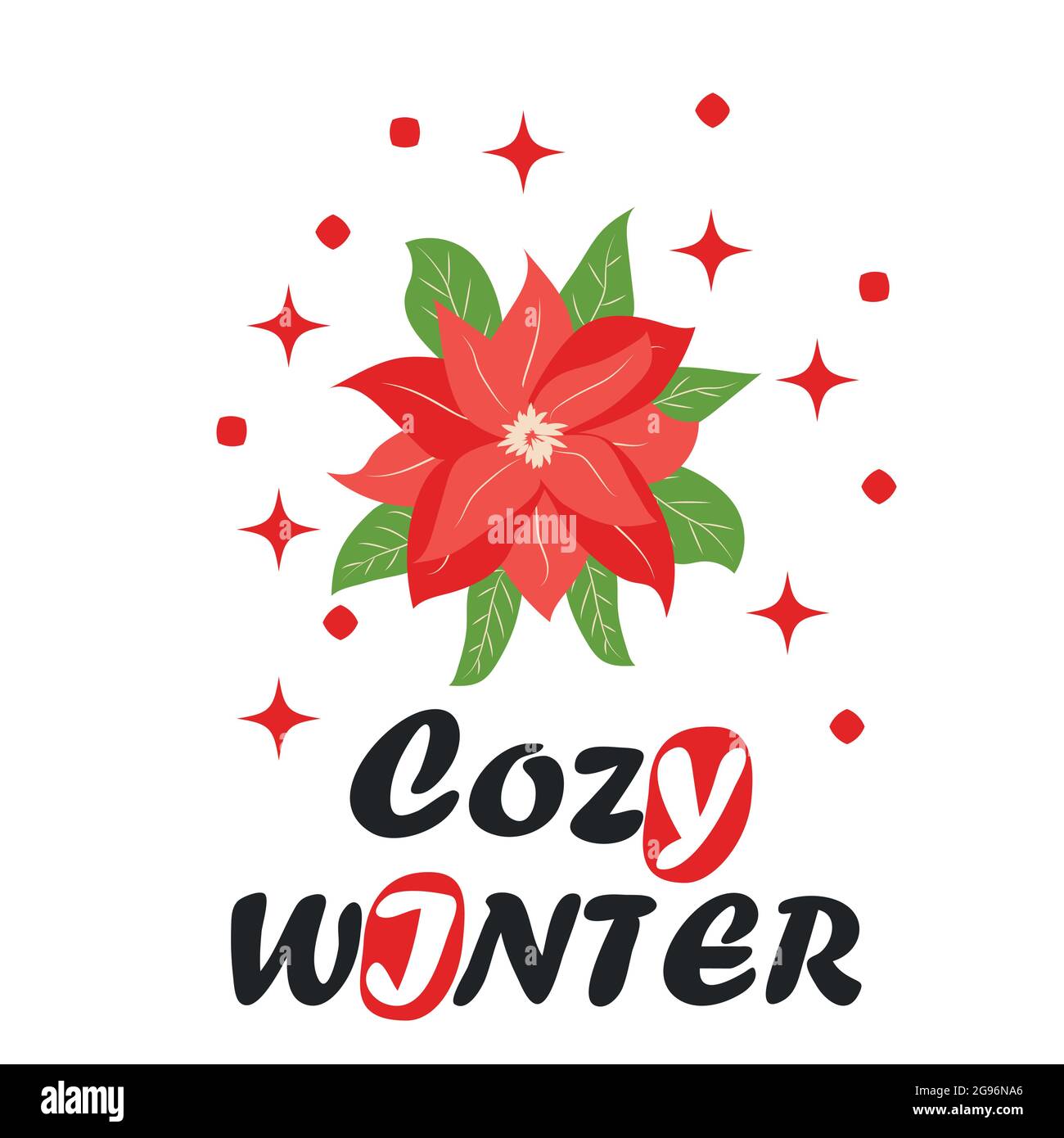 Traditional Christmas poinsettia flower with green leaves and red ...