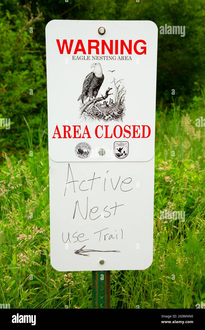 Bald eagle nest sign, Ankeny National Wildlife Refuge, Oregon Stock ...