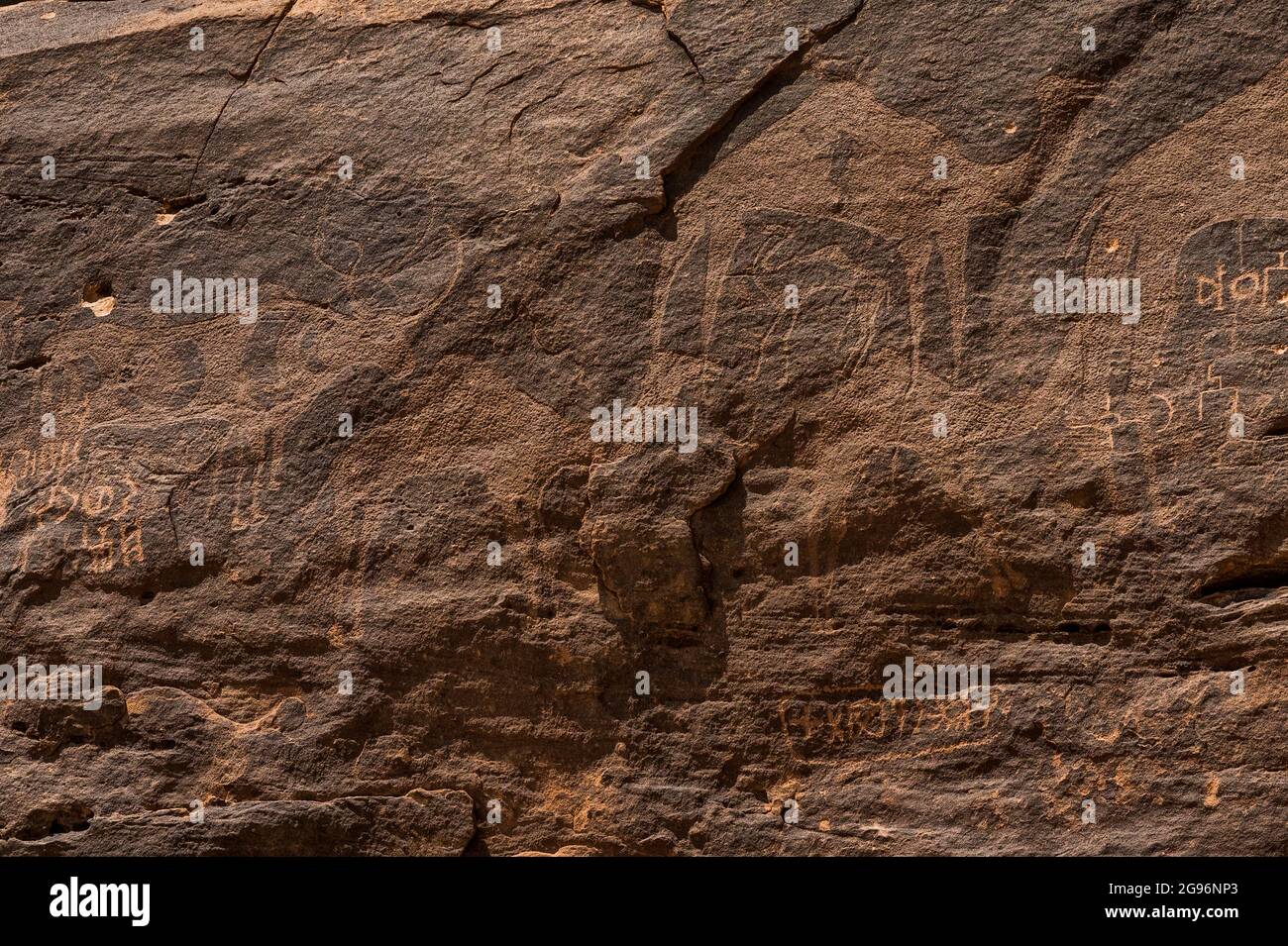 Hima saudi hi-res stock photography and images - Alamy